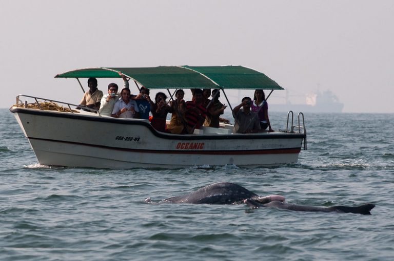 10 Awesome Things To Do in Goa - Luxury Family and Tour Packages ...